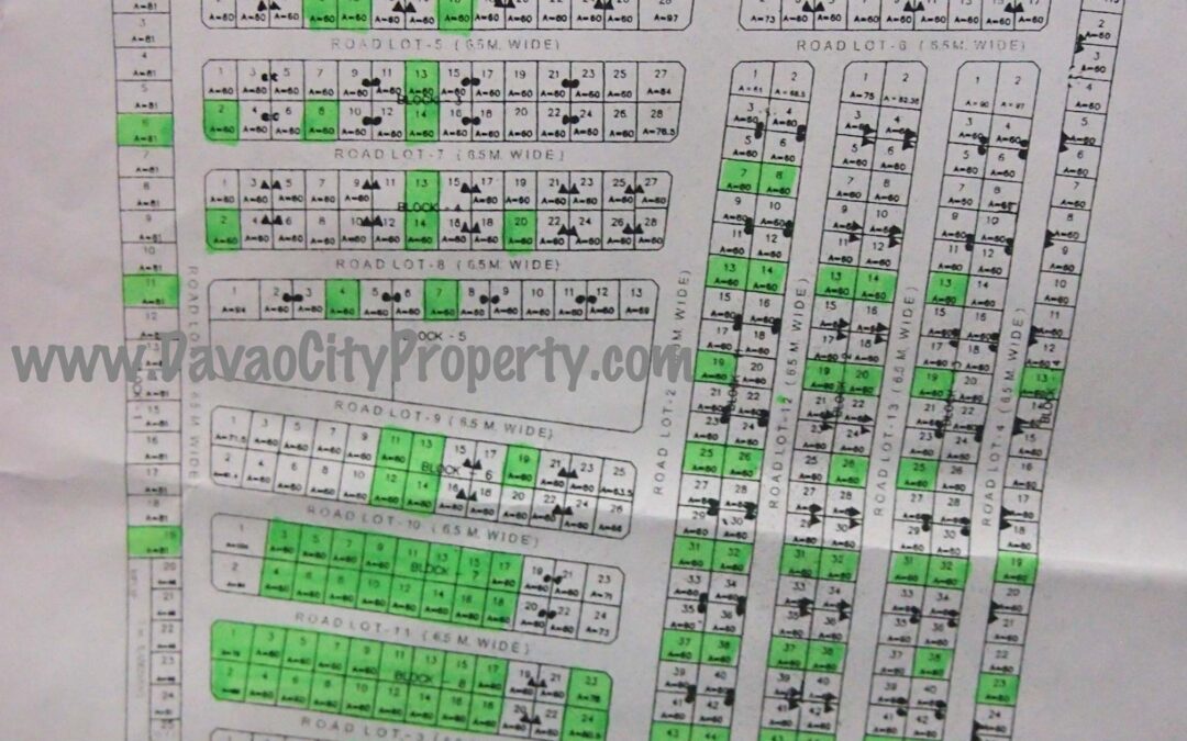 catalunan-south-pointe-homes-davao-subdivision-map - Davao City ...